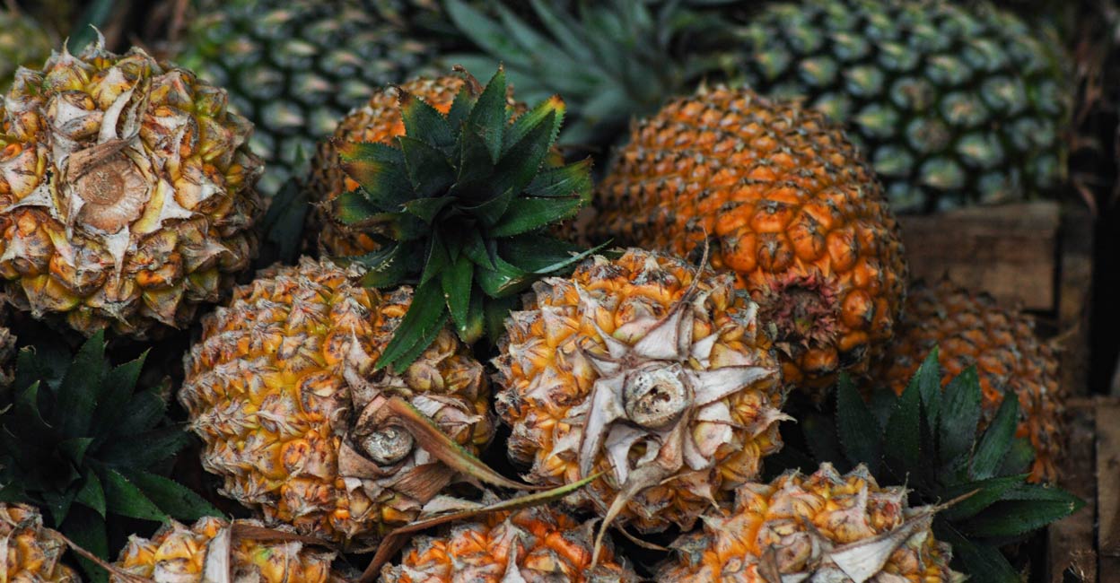 Is hormone-ripened pineapple a myth? Debunking Kerala’s most common ...