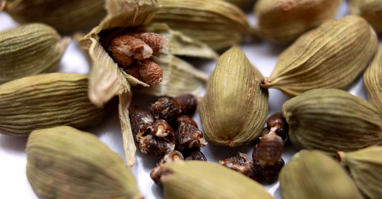 KERA project: Financial aid for cardamom replanting in Idukki ...