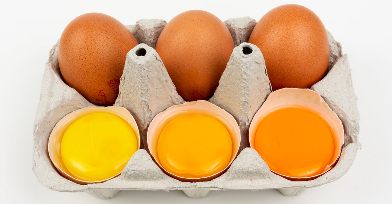 Yellow vs orange: Which colour should egg yolks be?