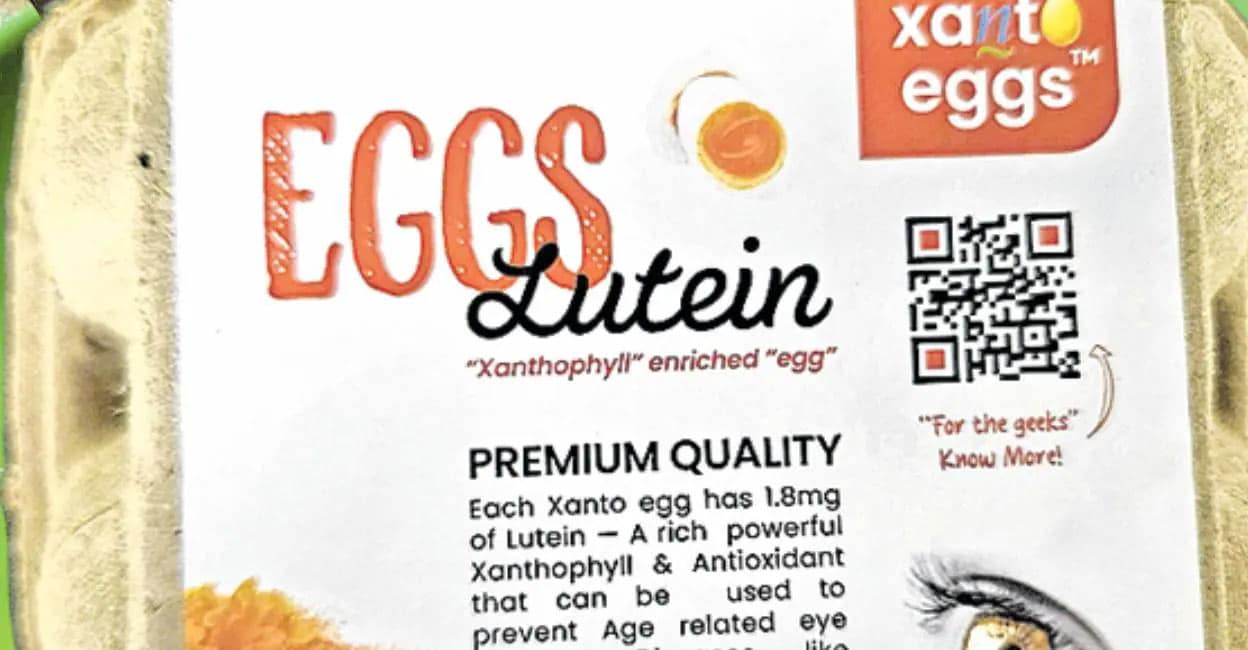 Golden yolks, healthy eyes: Designer eggs from Kerala all set to hit ...