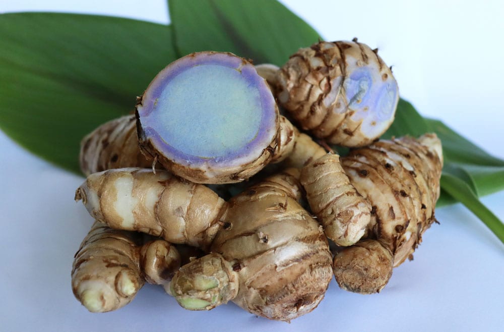 Blue turmeric: A magic root with a Vicks-like aroma and no yellow stains