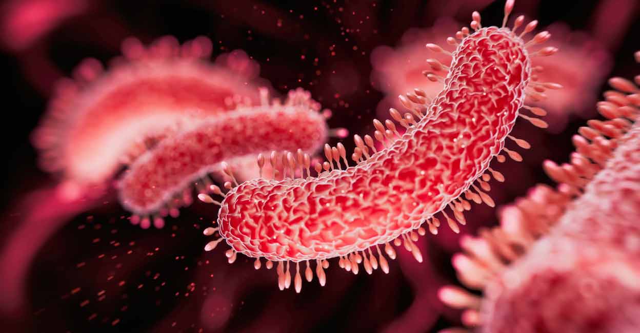 Shigellosis in Kozhikode: Symptoms, causes, tips from doctors ...