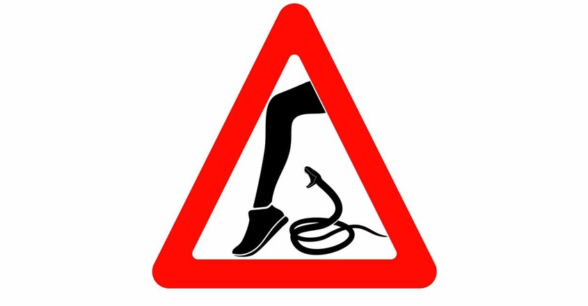 Fifth snakebite death in Kerala: Herpetologist gives practical tips to ...