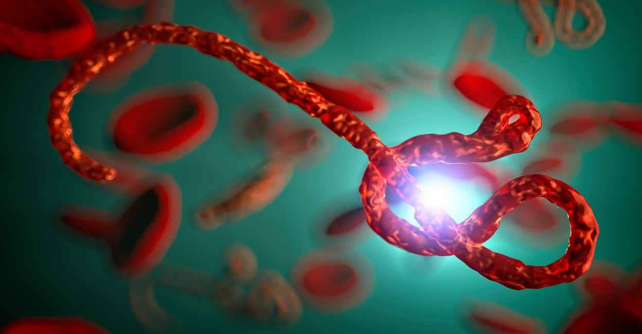 Ebola outbreak causes 88 deaths: WHO declares global health emergency ...