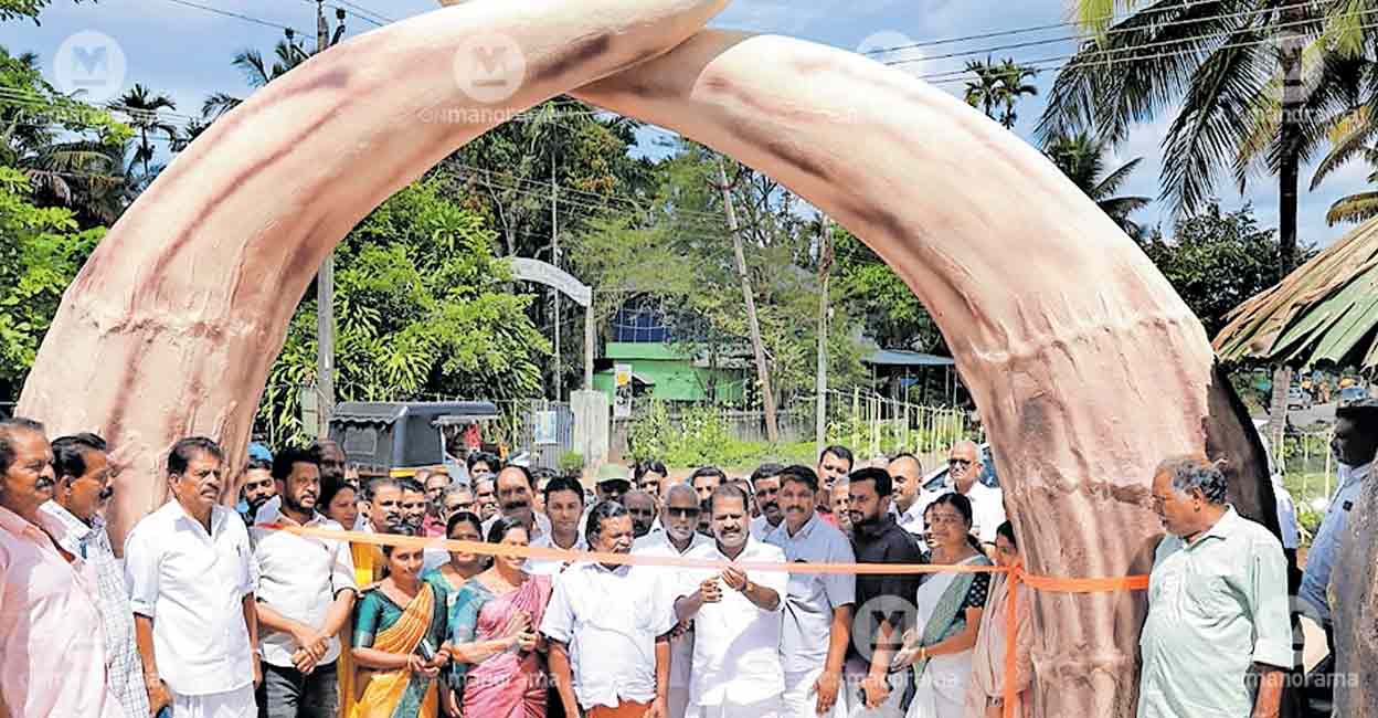 Thoda museum in Kozhikode, a treasure trove of indigenous artefacts ...
