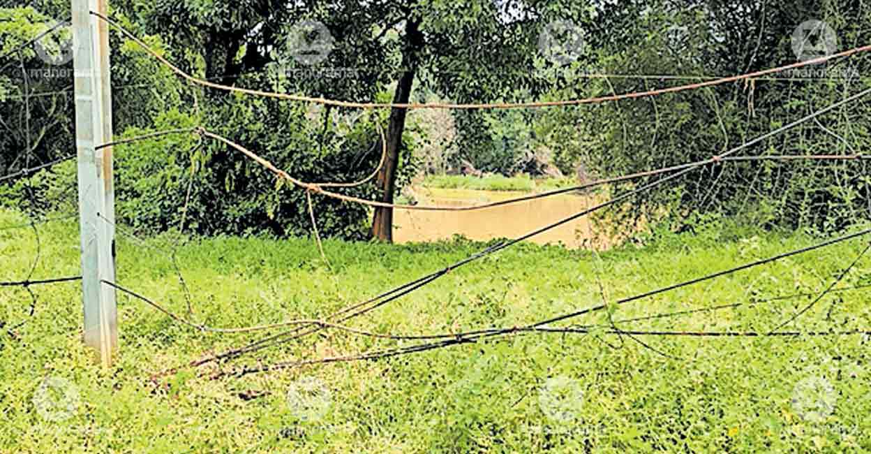 Tusker breaches rope fencing day before its inauguration in Wayanad's ...