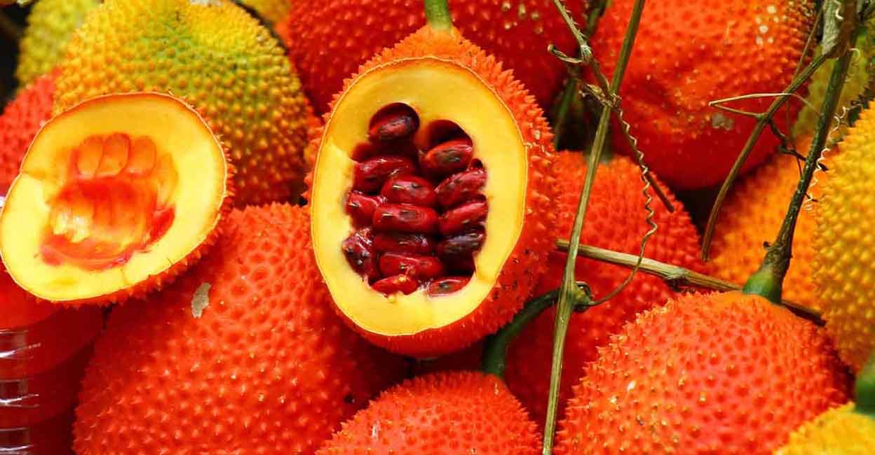 This exotic fruit is sold for ₹1500 per kg, how gac is winning over ...