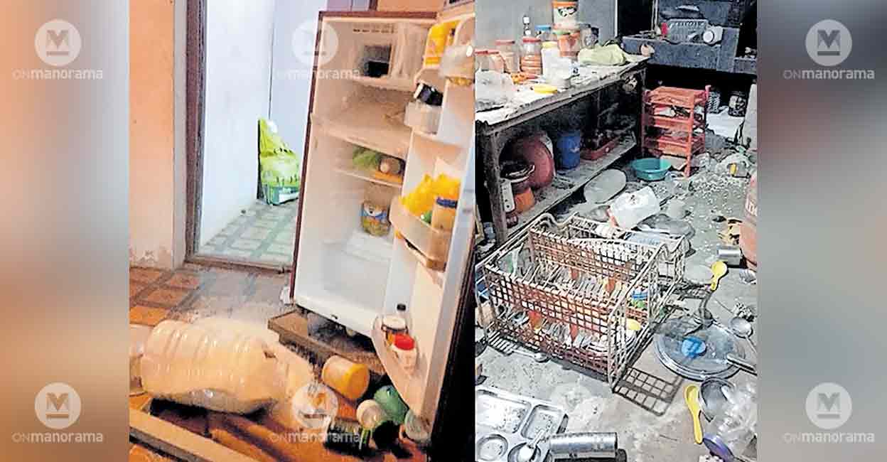 Macaques raid over 30 homes in Thiruvananthapuram's Pangode, locals ...