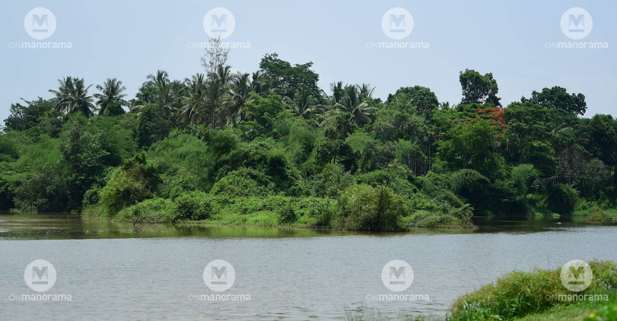 New Dams in Wayanad: Govt invites EoI for DPR preparation | Onmanorama