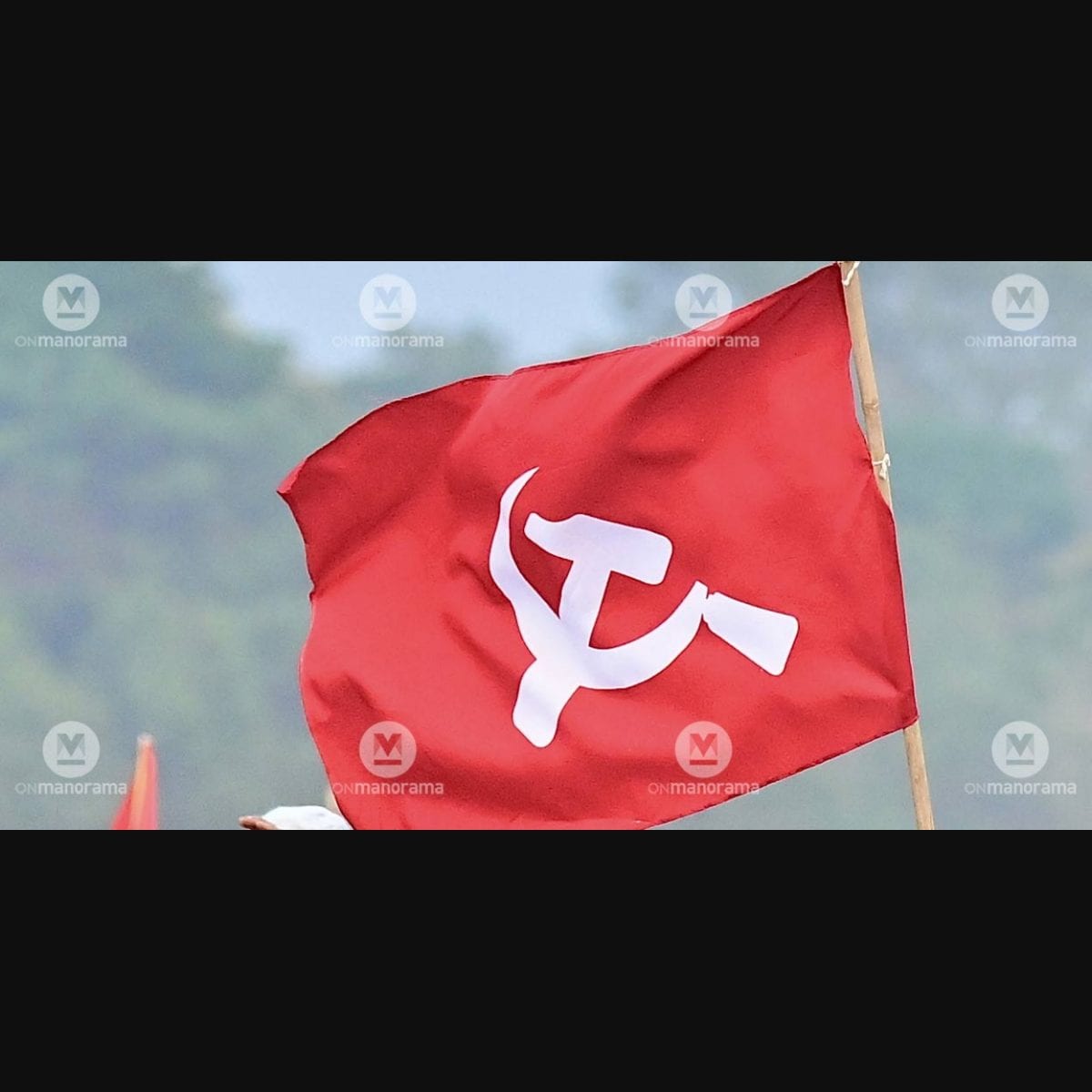 dyfi flying flag