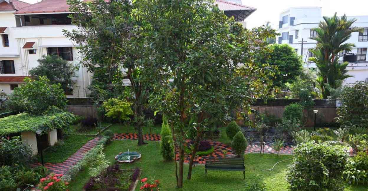 A tropical Eden in the heart of Kochi: How Anil built a mini forest of ...