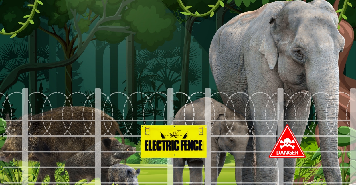 Licence for electric fence; authorities to tighten norms