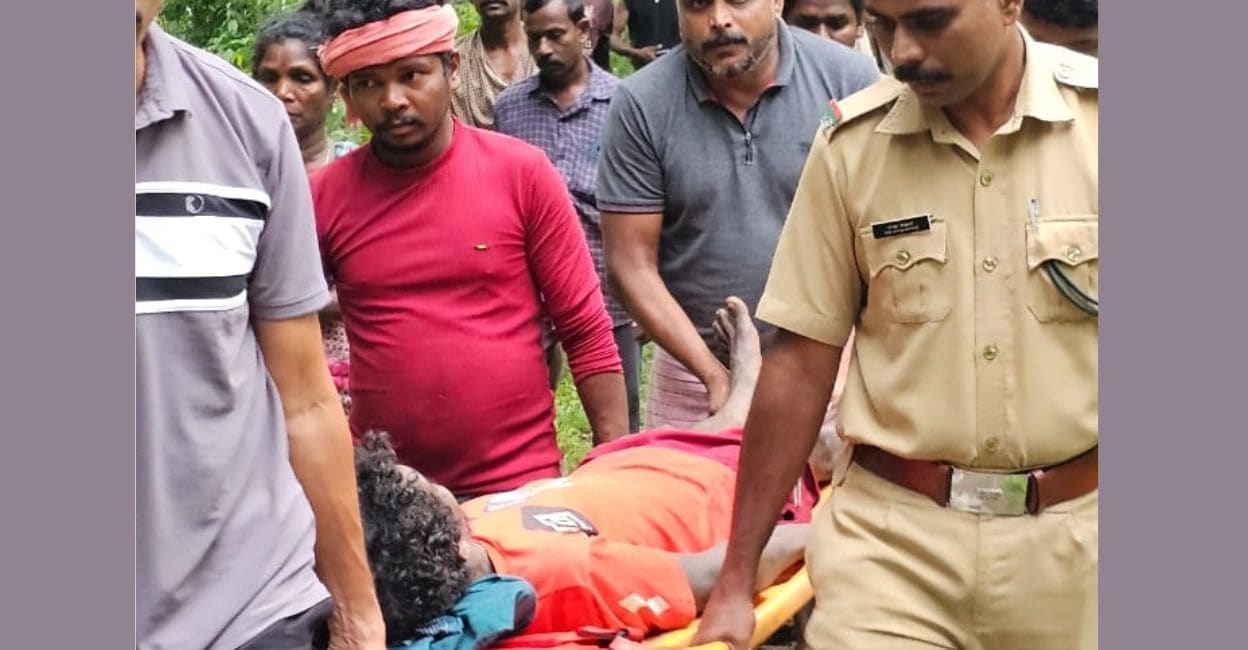 Wild elephant attacks tribal youth in Malappuram| Man vs Animal ...