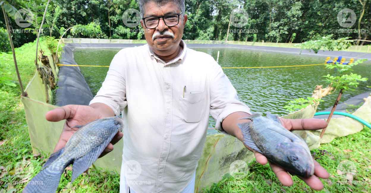 Fishly: A Kottayam farmer’s journey from rubber slump to freshwater ...