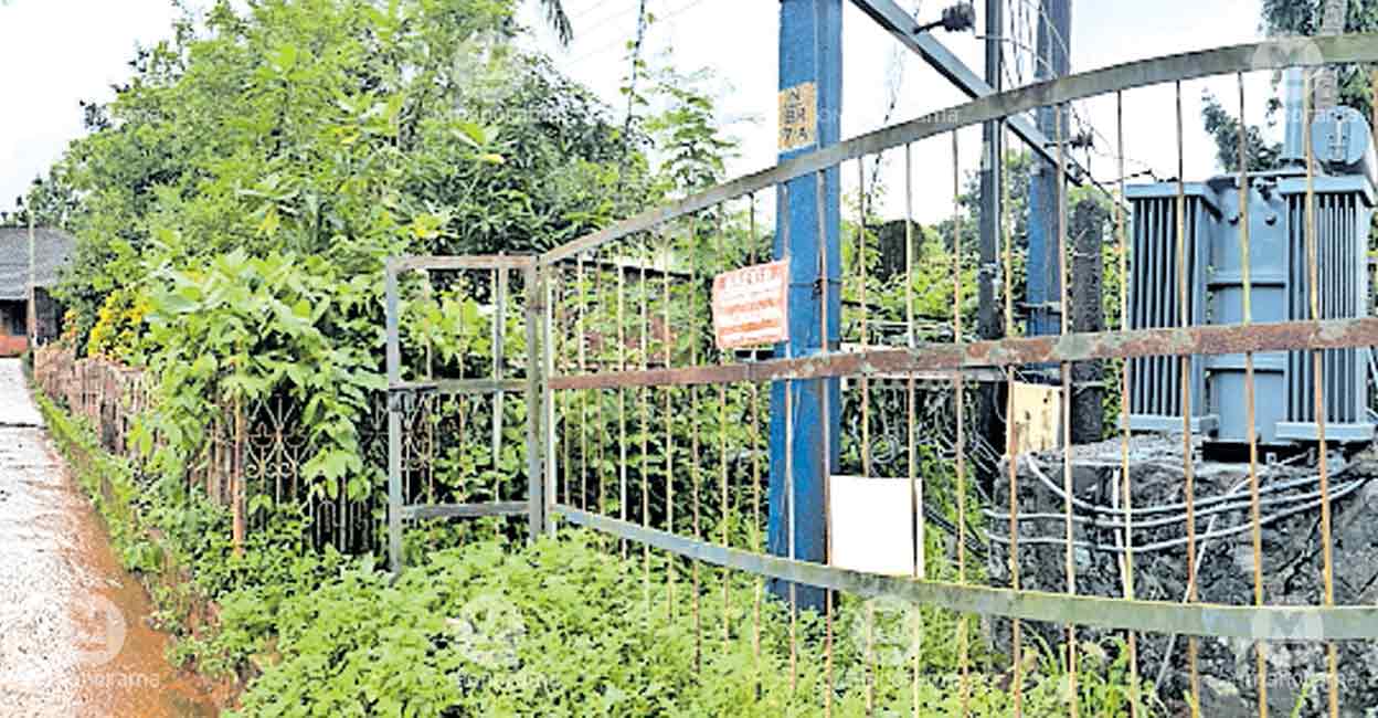 Exposed electric lines threaten lives in Kasaragod | Kerala Stories ...