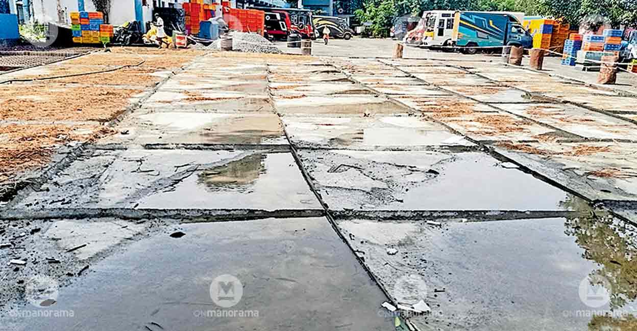 Beypore fishing harbour set to reopen after ₹25-lakh makeover | Kerala ...