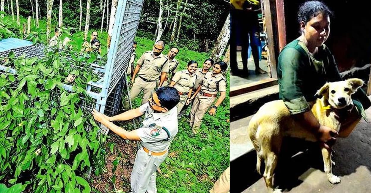 A dog that saved a child & an elusive leopard - tale of a Kerala ...