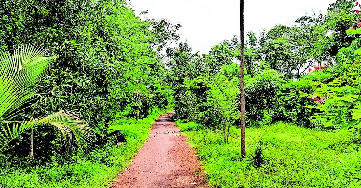 Kallara UP school wins first prize for ‘green islets’ in Kottayam ...