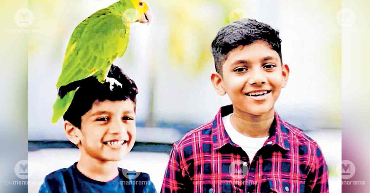 Missing pet parrot reunited with children in Oravakkal after a week ...