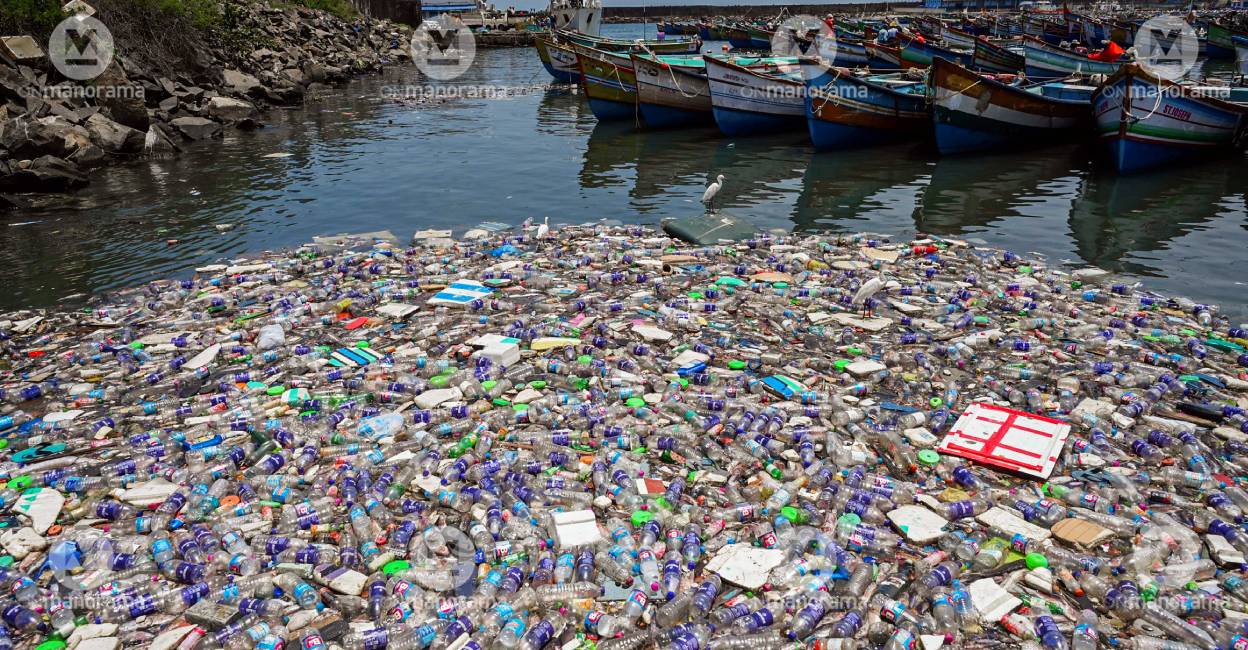 Waste dumping complaints via WhatsApp: Fines cross ₹61 lakh, rewards ...