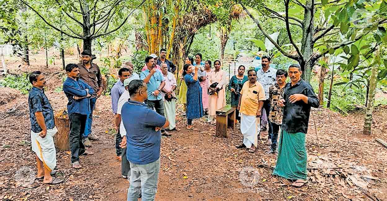Farm tourism society in Kozhikode becomes learning hub for farmers ...