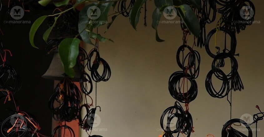 Lokah's Neeli has a temple in Kerala & offering is not blood but ...