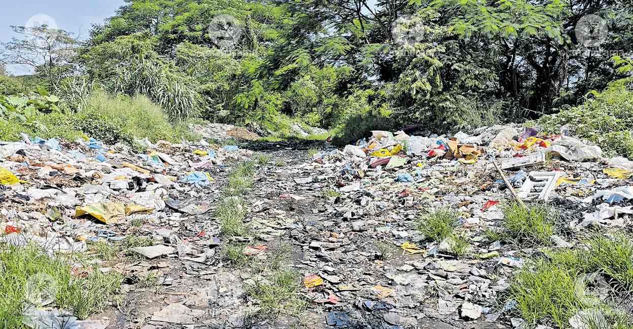 FACT land in Ernakulam choked with waste, residents caught amid ...