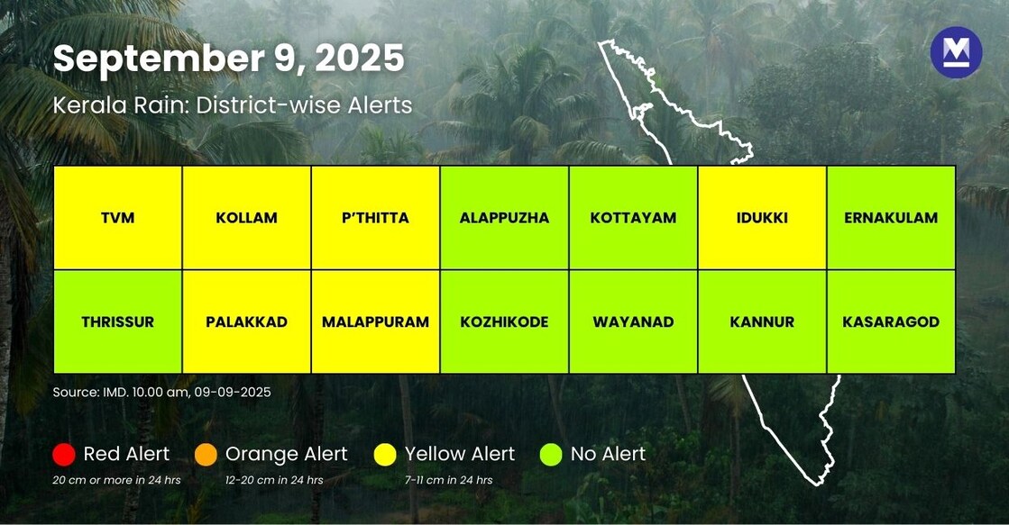 Kerala rain: Yellow alert in 6 districts today | Kerala Rain Updates ...