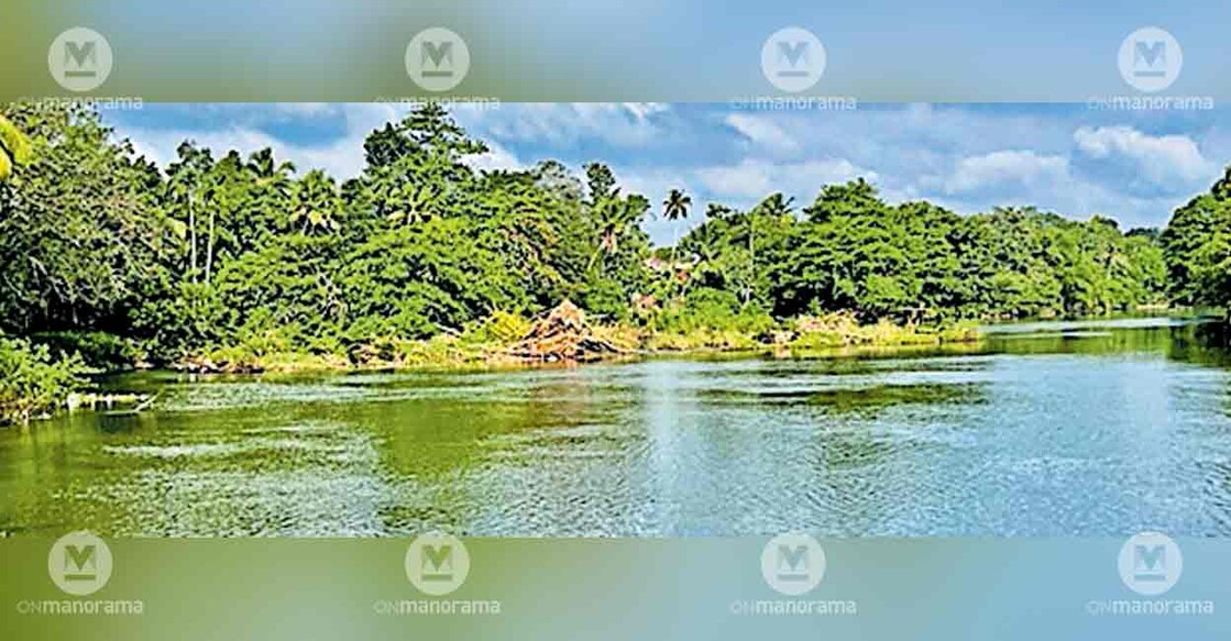 Irrigation dept to clear soil deposits, trees from Manimala river ...