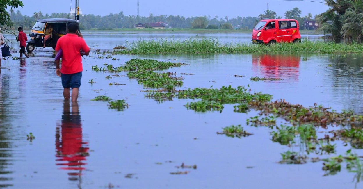 State declares Kuttanad paddy fields flooding as disaster, allows funds ...