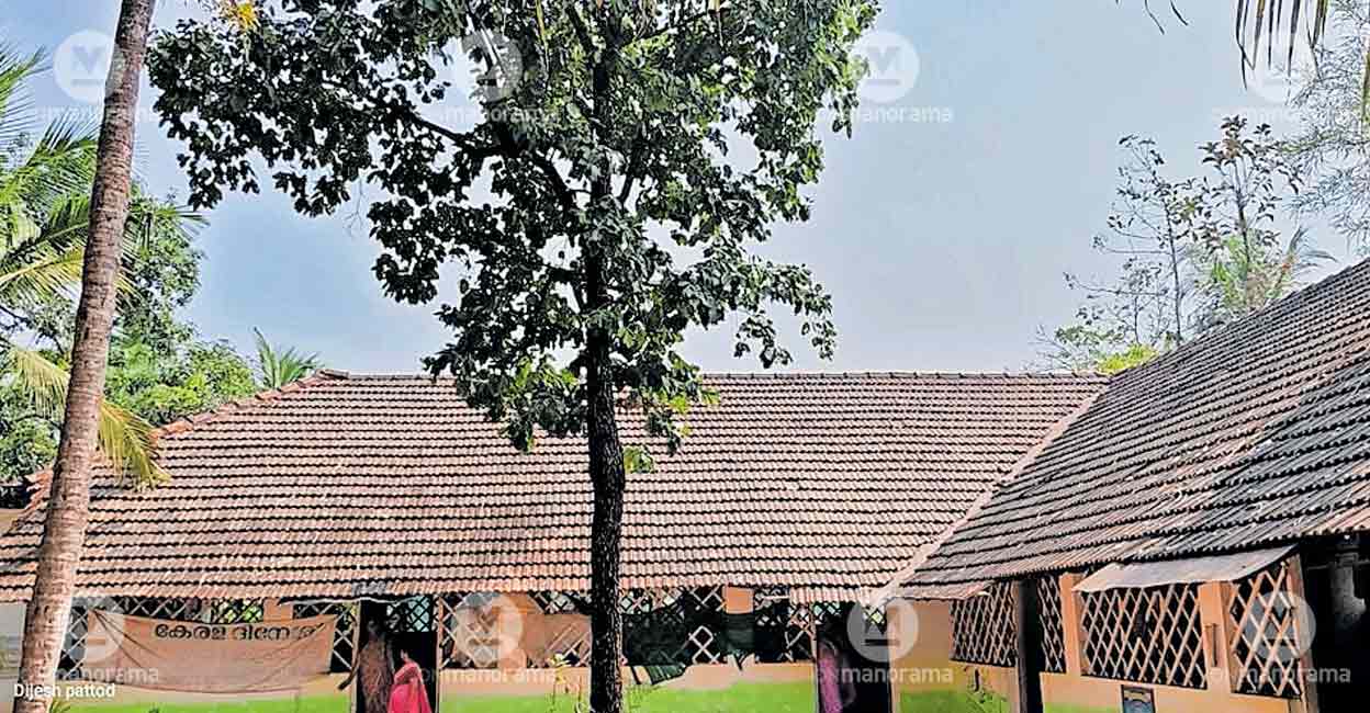 The tree that tells the story of beedi workers in Kasaragod's Kari ...