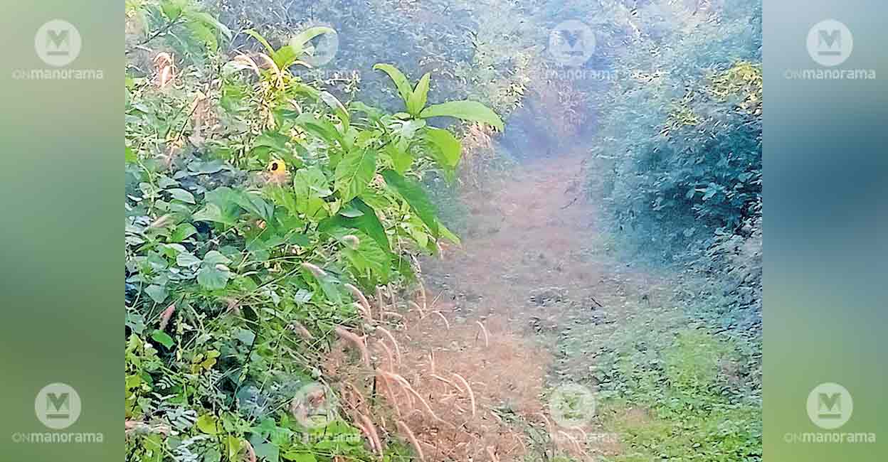 Farmers anxious as canal cleaning faces delay ahead of water release ...