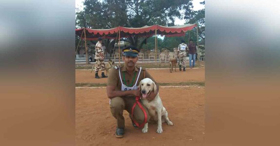 After 11 years of service, Kerala Police sniffer Bruce aka Neeli ...