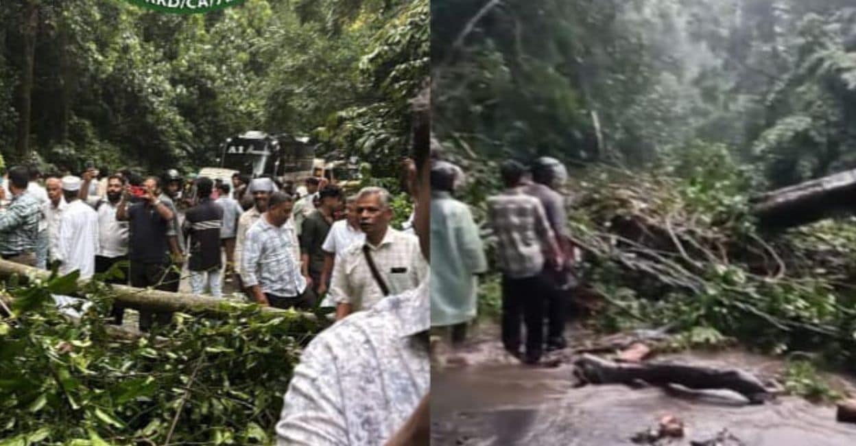 Tree fall amid heavy rain disrupts traffic on Wayanad Ghat Road ...