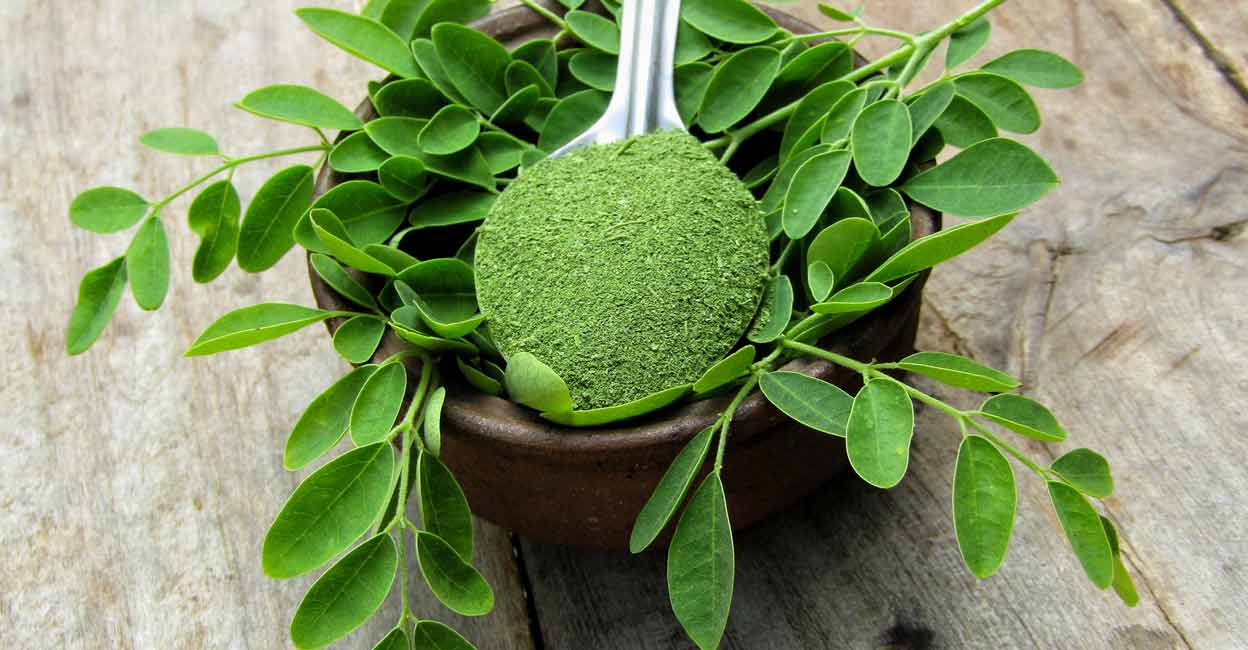 Why you can’t buy muringa in Australia and New Zealand