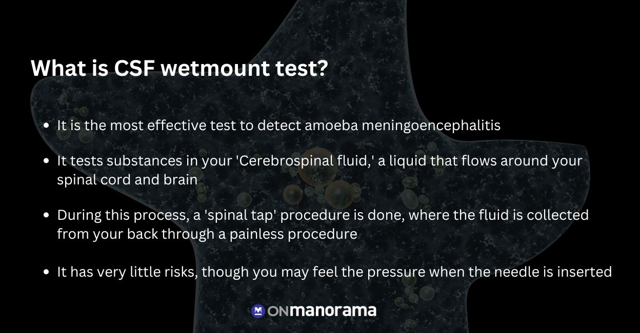 How to prevent Kerala’s amoeba infections and deaths? Doctors explain ...