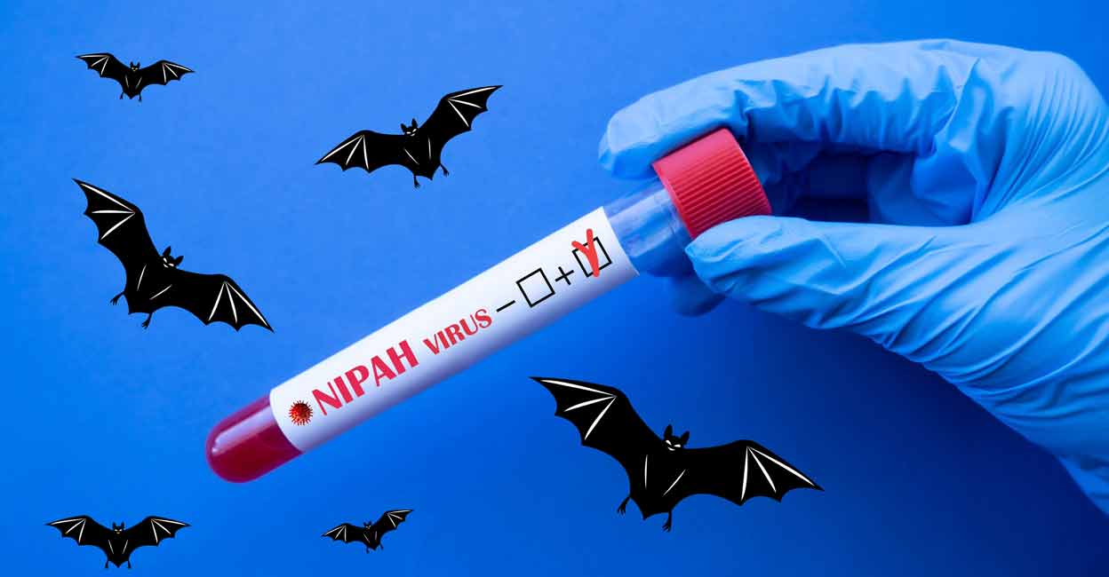 Nipah in West Bengal: Two nurses positive, more than 100 quarantined ...