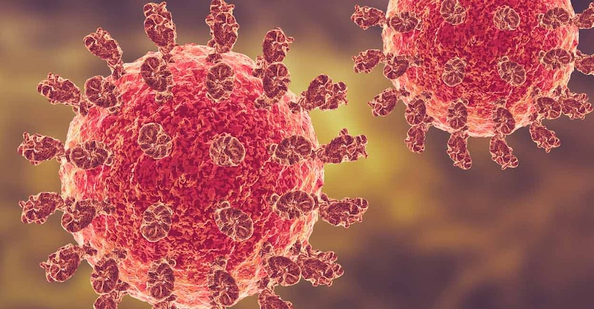 Nipah in West Bengal: Two nurses positive, more than 100 quarantined ...