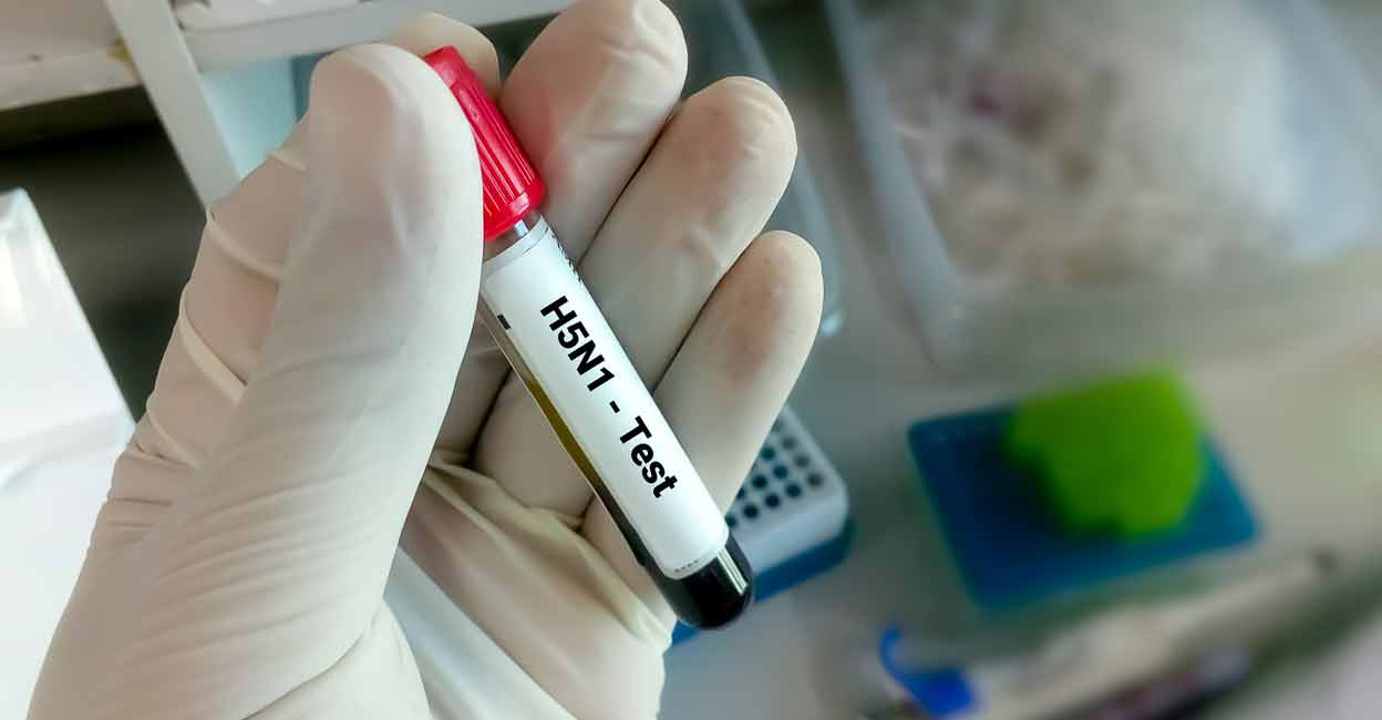 Kerala on alert as Avian Influenza hits crows, migratory birds and ...