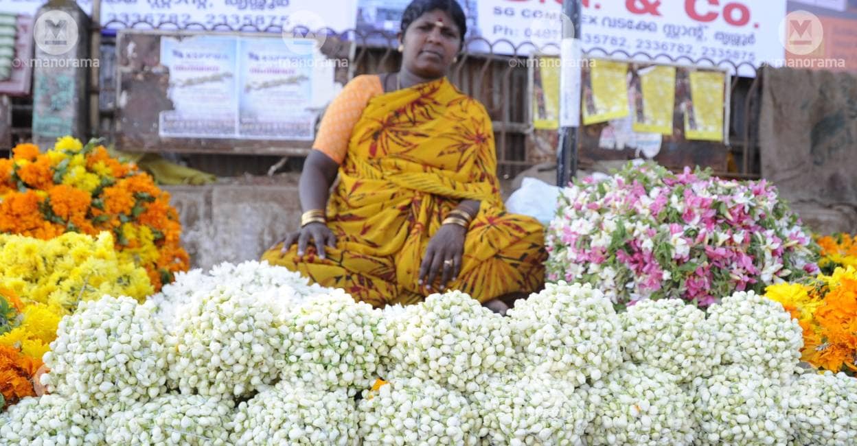 Jasmine price hits ₹12,000 per kg in Tamil Nadu; ₹6,000 in Kochi ...