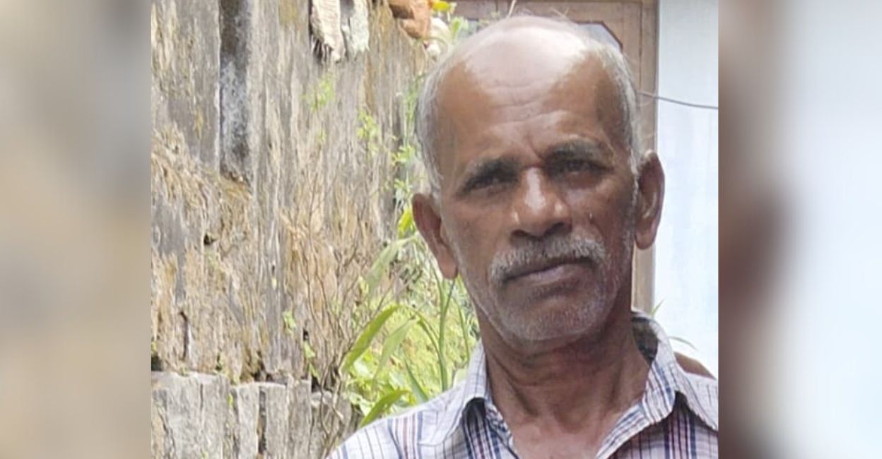 Wild elephant attack: 62-year-old plantation worker killed in Nilgiris ...