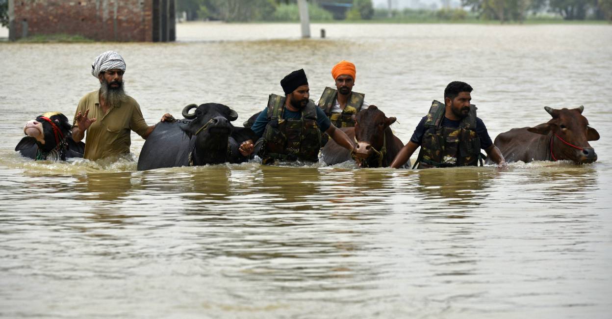 Punjab reels under worst flood in 37 years; thousands displaced