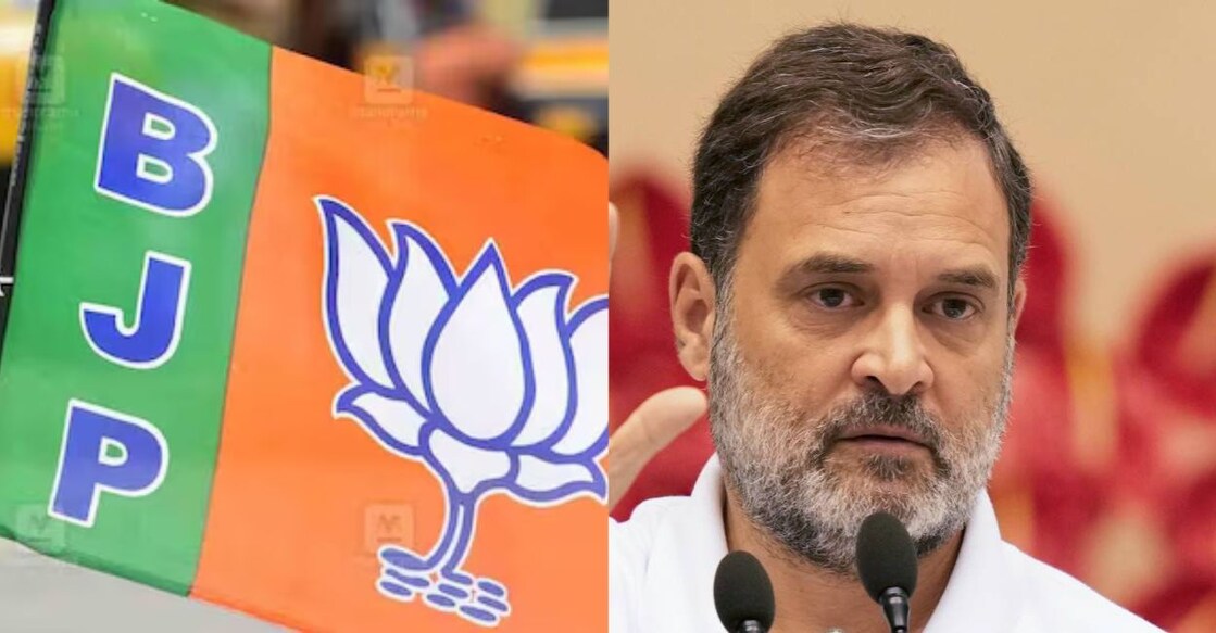 Don't trust EC? Resign from Lok Sabha: BJP to Rahul Gandhi | India news