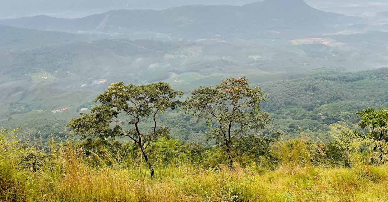 Kerala's 'Switzerland,' where the Malayalam movie 'Eko' was shot ...