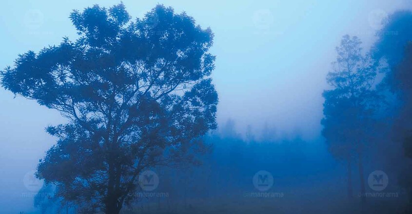 What spots to visit in Munnar to enjoy winter? Pictures, timings, tips ...