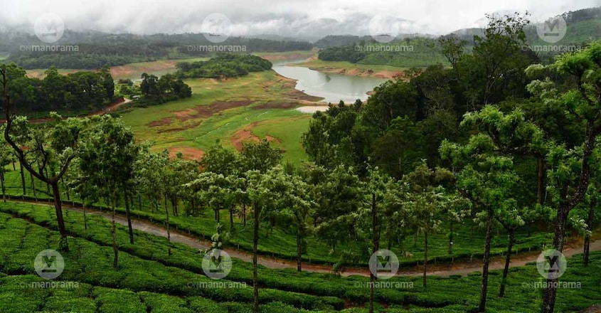 What spots to visit in Munnar to enjoy winter? Pictures, timings, tips ...