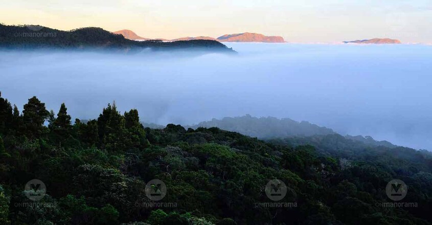What spots to visit in Munnar to enjoy winter? Pictures, timings, tips ...