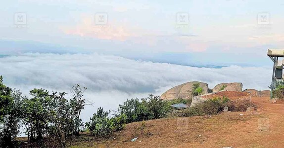 What spots to visit in Munnar to enjoy winter? Pictures, timings, tips ...