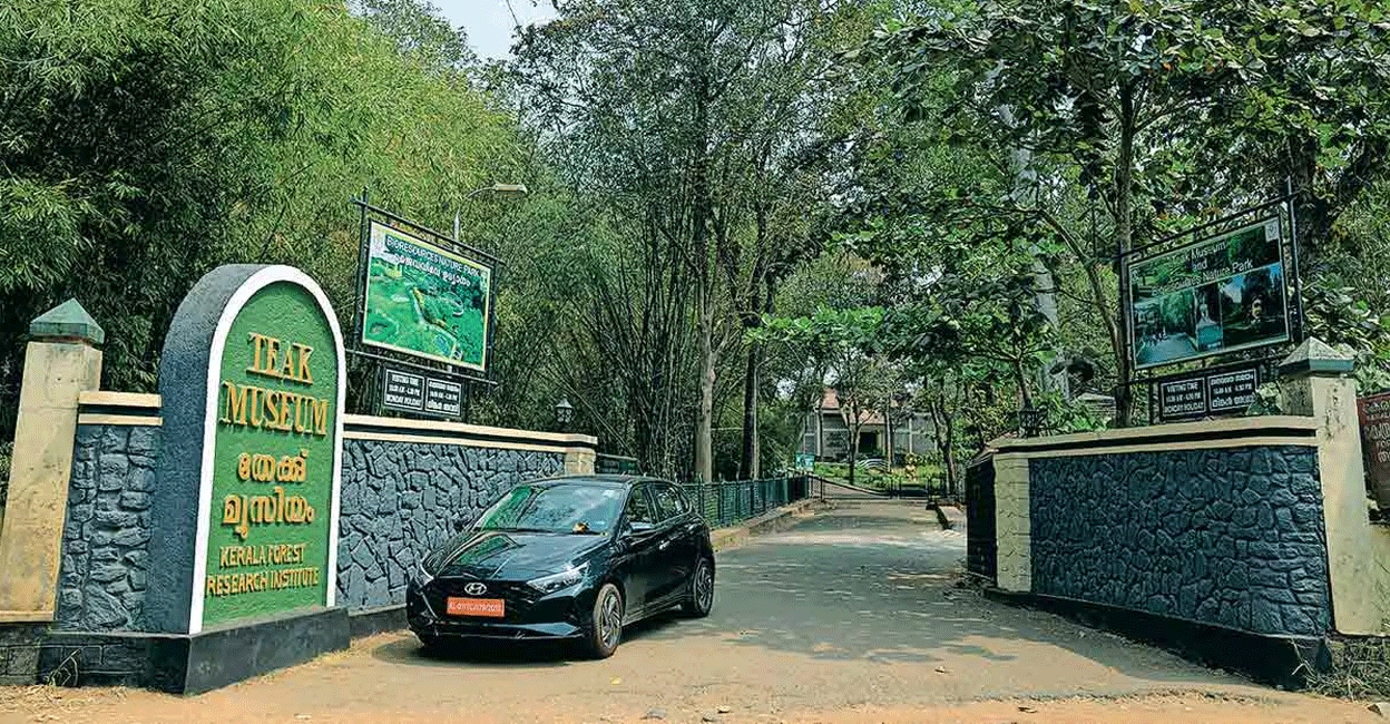 Nilambur’s by-election results put spotlight on its scenic getaways as well | Nilambur Election ...