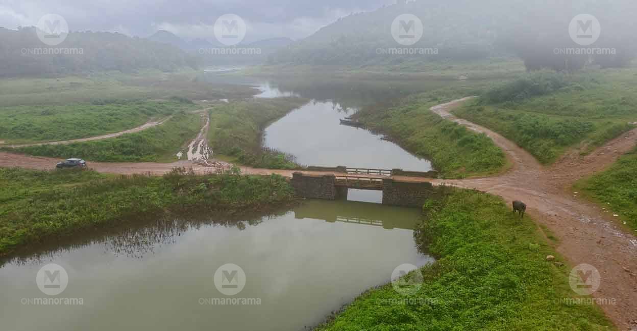 Emerging spots: Idukki’s Ayyappancoil suspension bridge is a marvellous ...